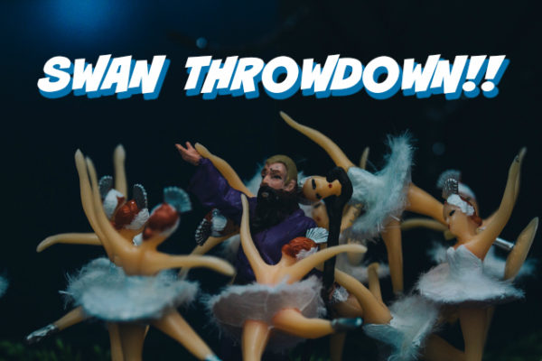 ballet explained: swan lake, act 4 {finale} – movita beaucoup
